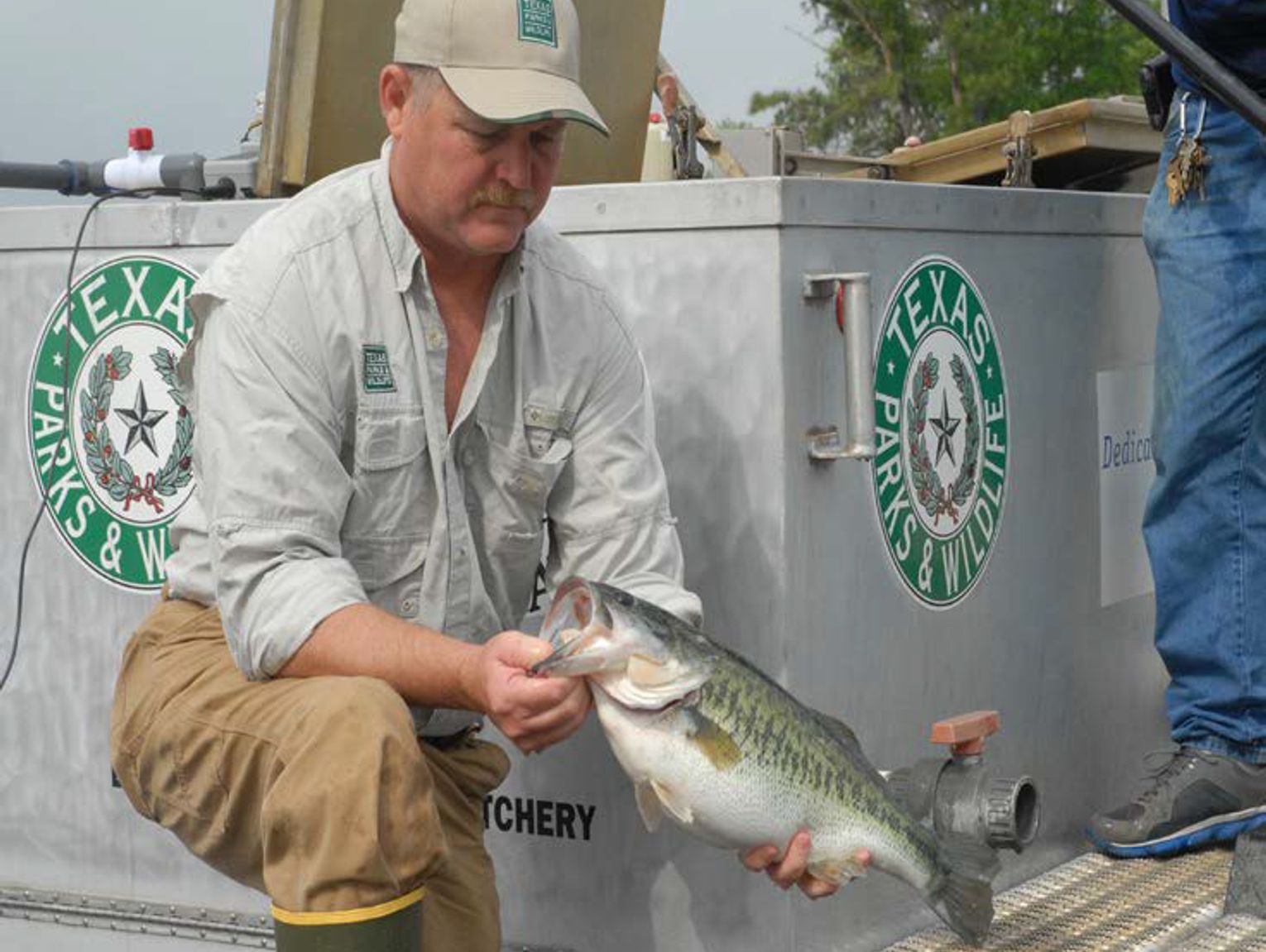 Bills to Ponder--Legislation could dismantle TPWD, loosen CWD laws ...