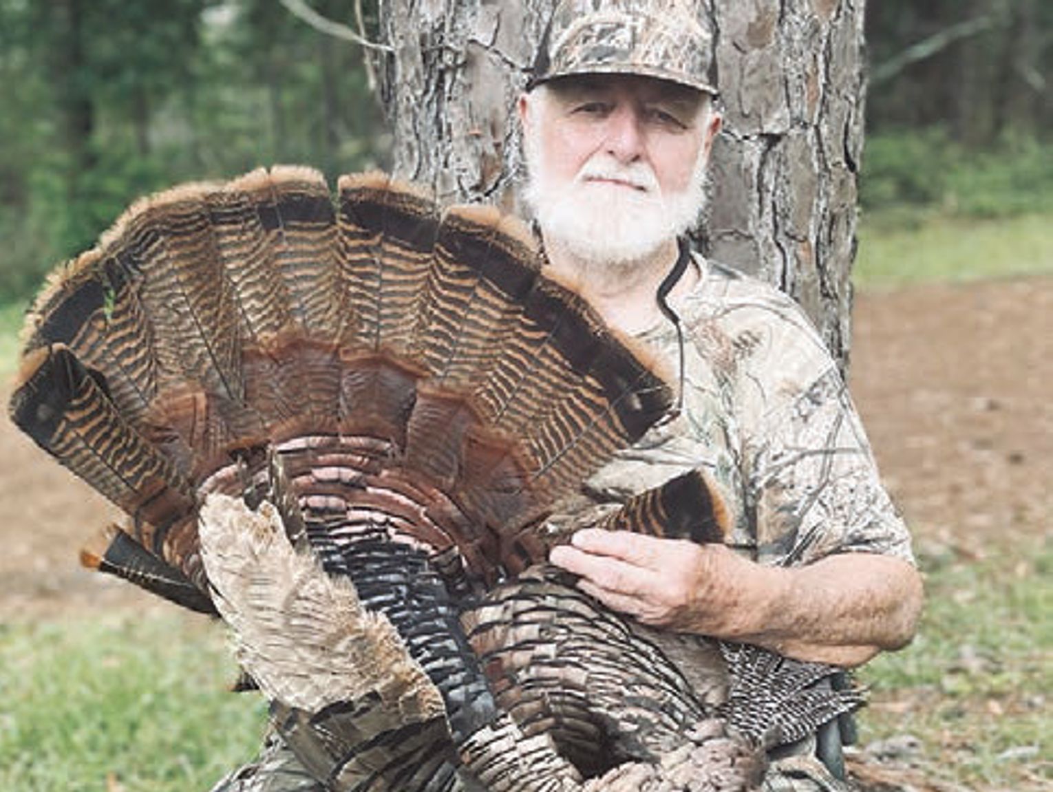 For Love of the Game