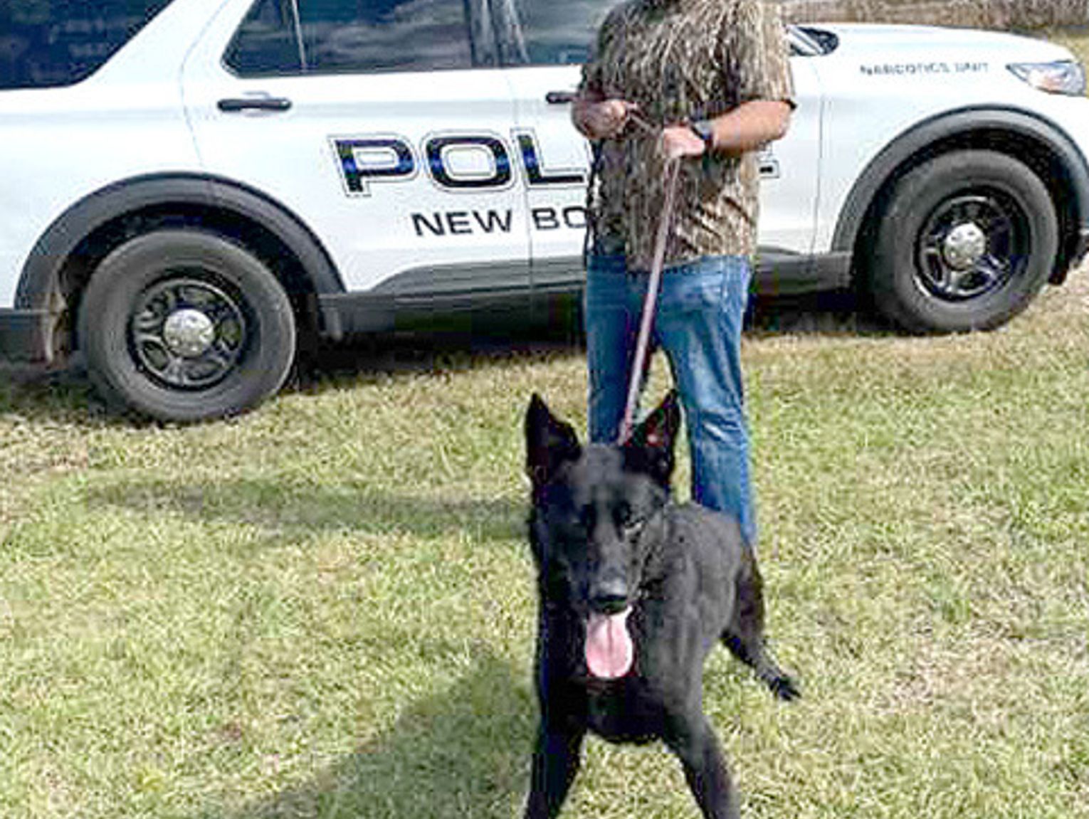 New K-9 officer Goose to start serving New Boston in January