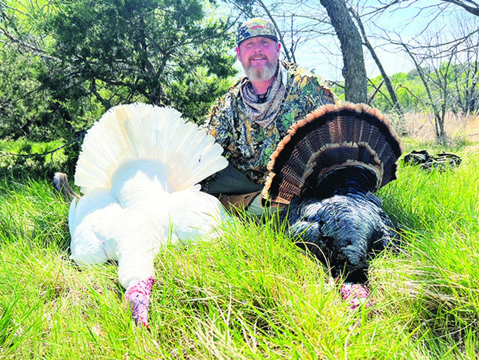Odd Ball Tom--Texas turkey hunter bags rare all-white gobbler, testing ...