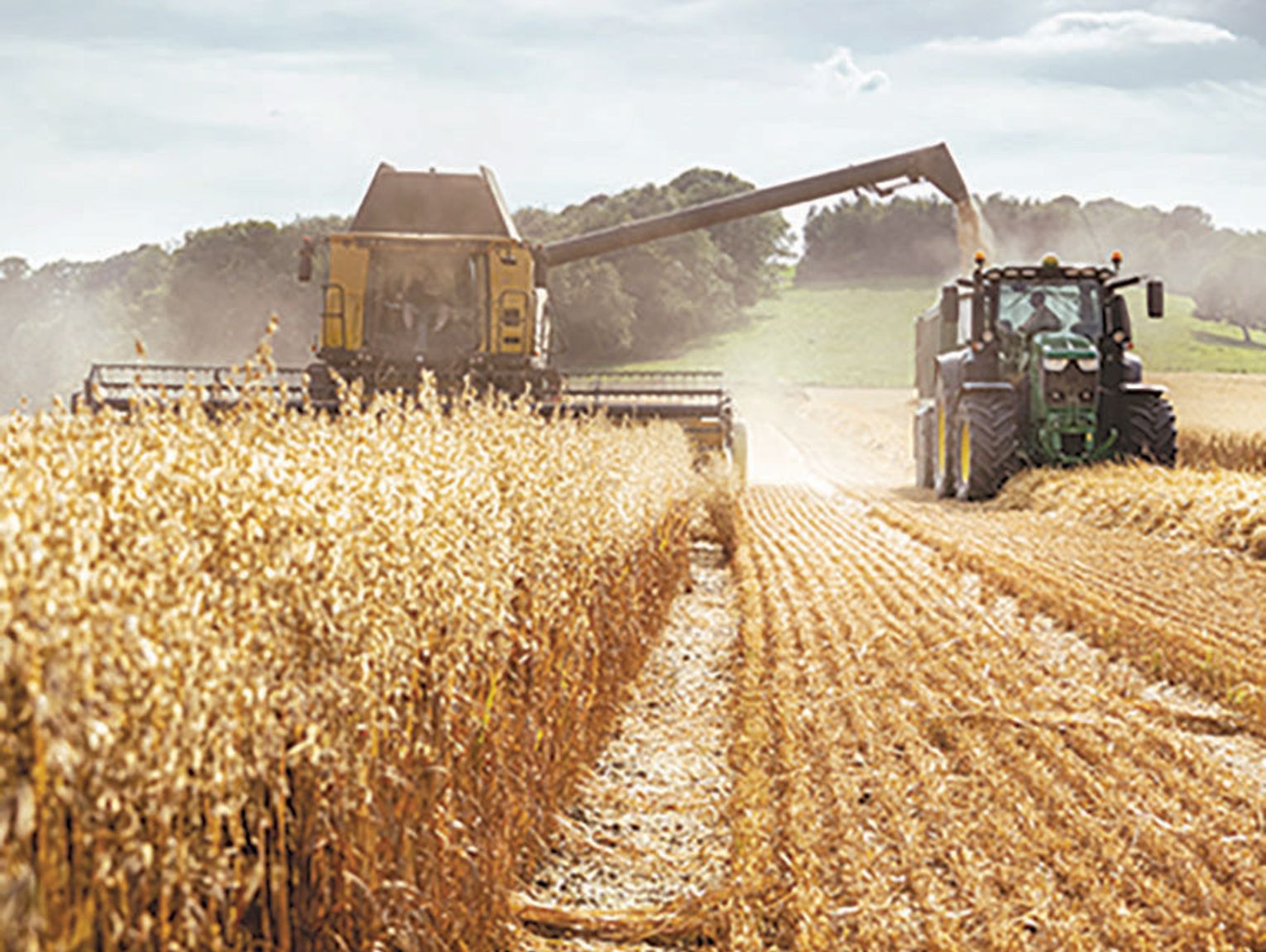 Three challenges facing the agricultural sector