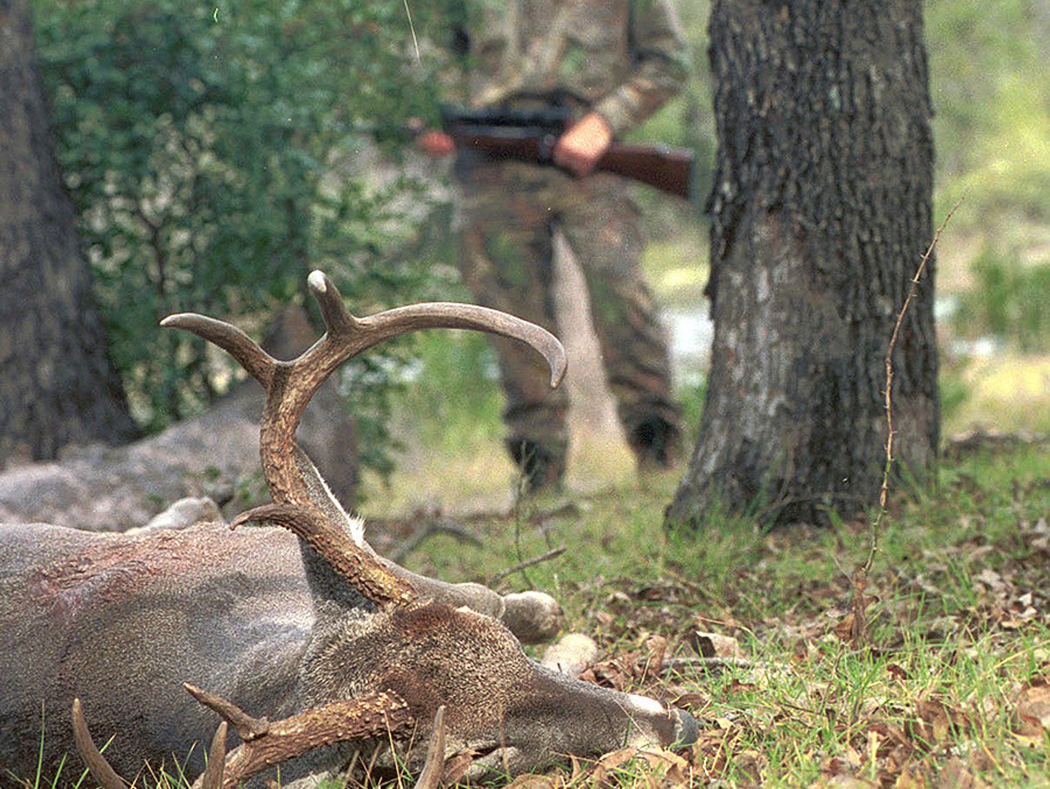 Tracking on Experience-Veteran hunter offers useful tips for recovering ...